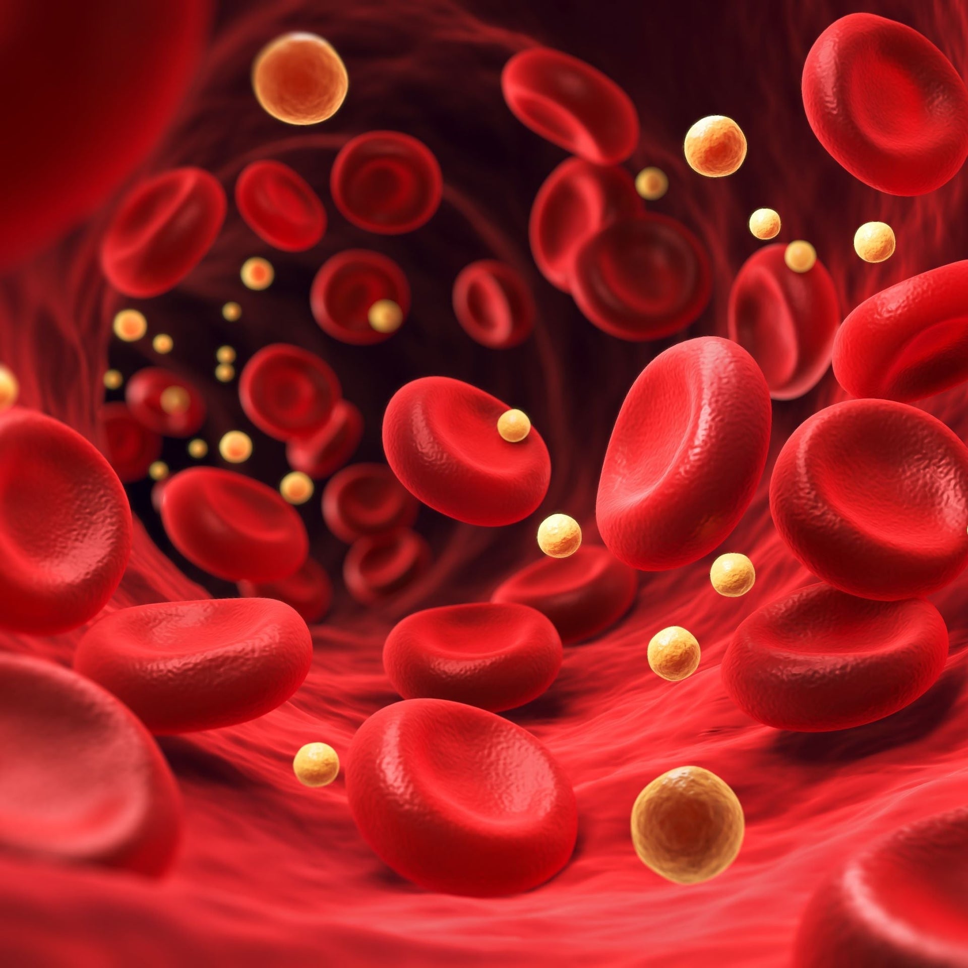 15 Foods That Will Boost Your Blood Levels 6/9/25 – Try-Blue