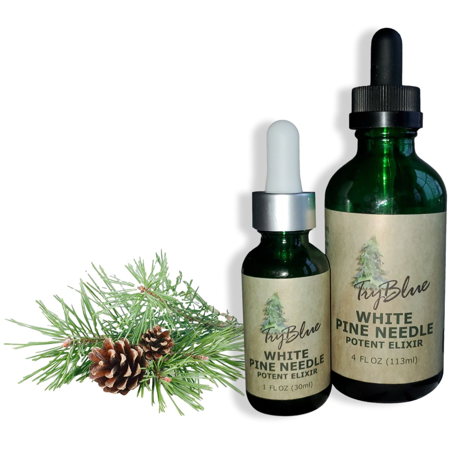 Pine Needle Tea Vs Pine Needle Elixir – Try-Blue