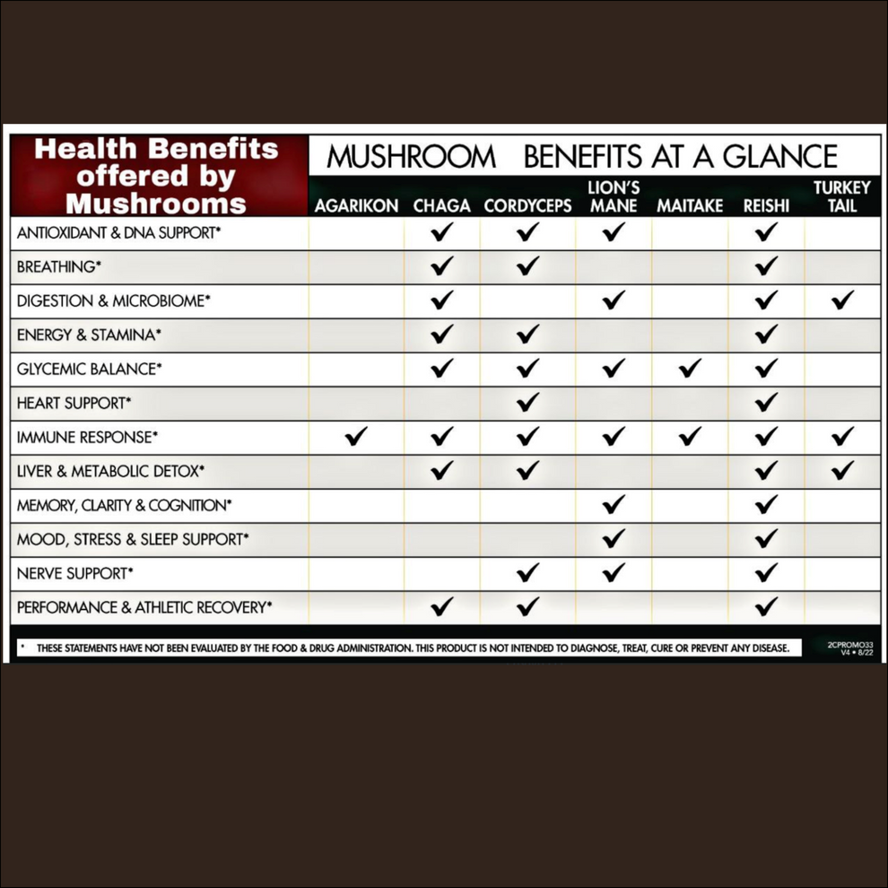 Wild Canadian Chaga Elixir – Try-Blue