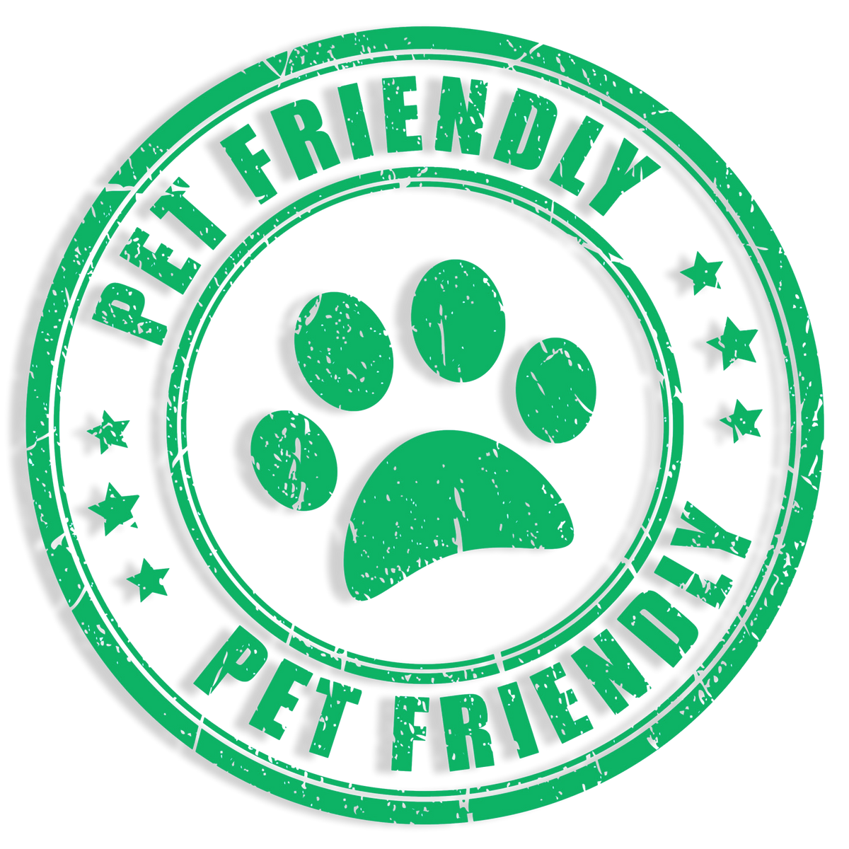 Black Cumin Seed Elixir – Try-Blue